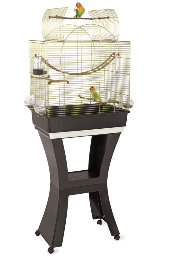 Parrot Essentials - Parrot Shop | Parrot Food | Parrot Toys | Parrot ...