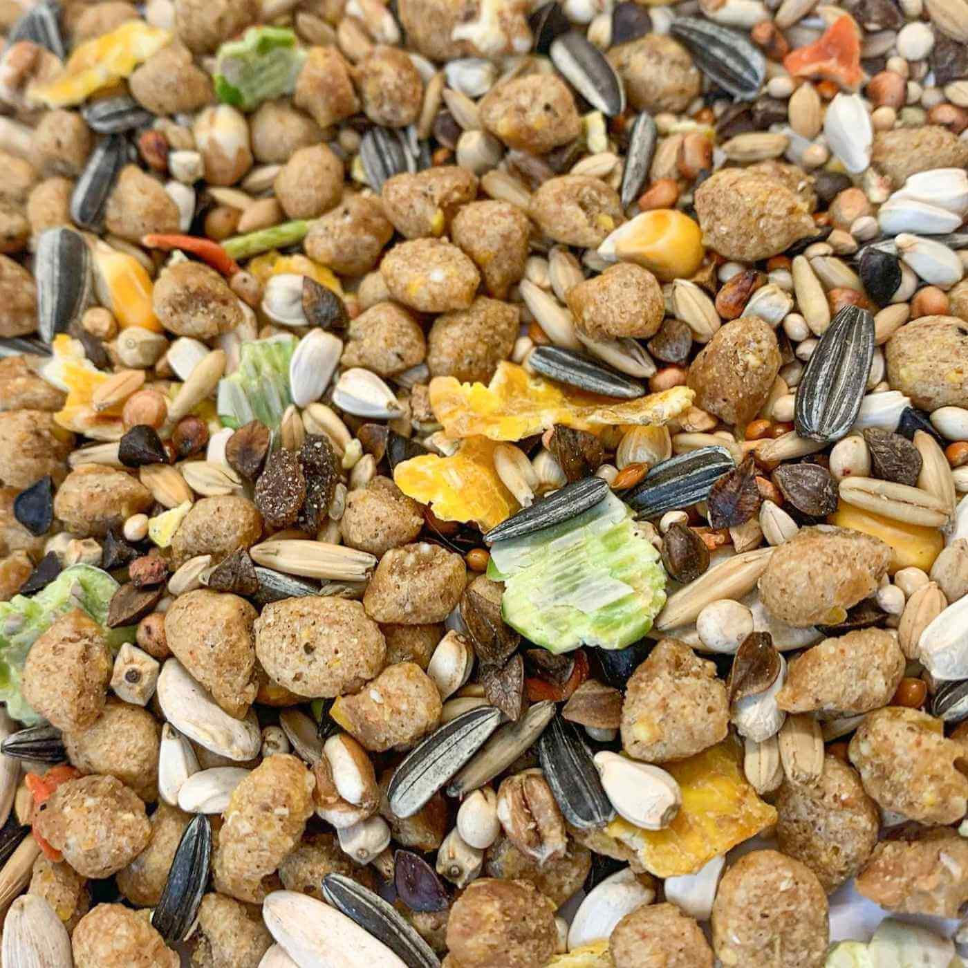 High-Protein Sensible Seed Amazon & Cockatoo Food