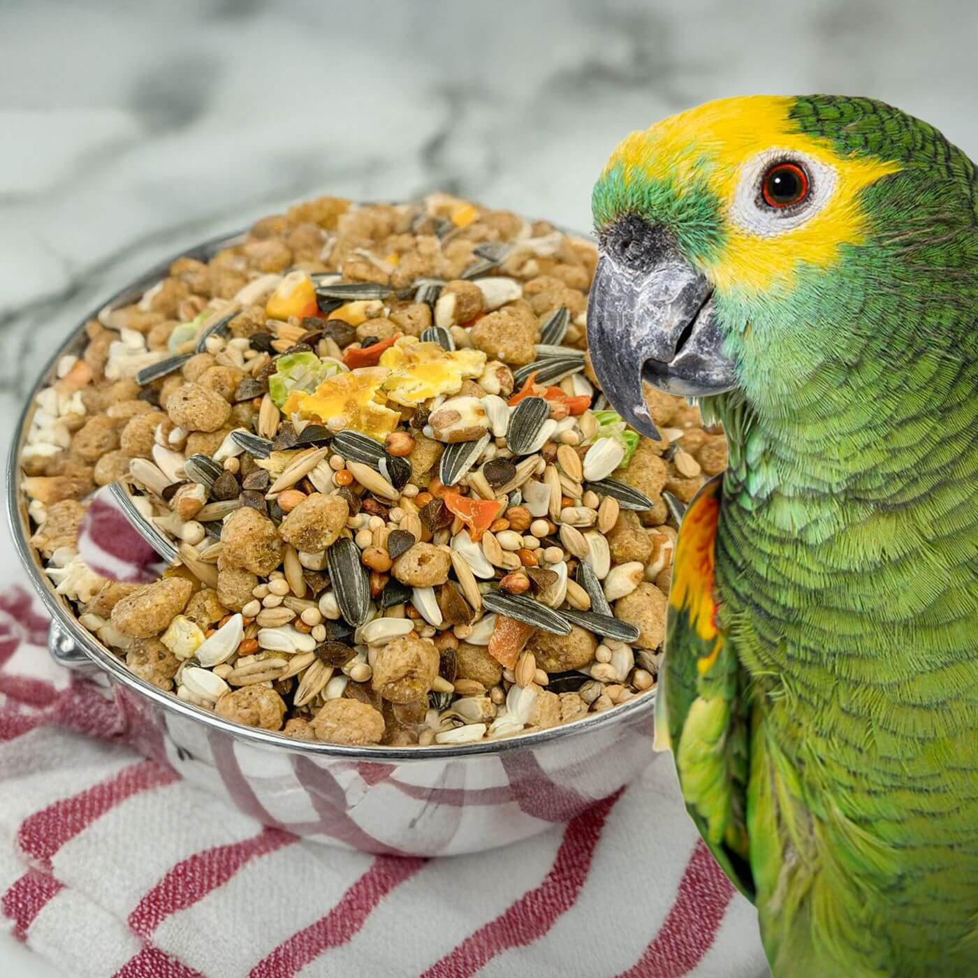 High-Protein Sensible Seed Amazon & Cockatoo Food