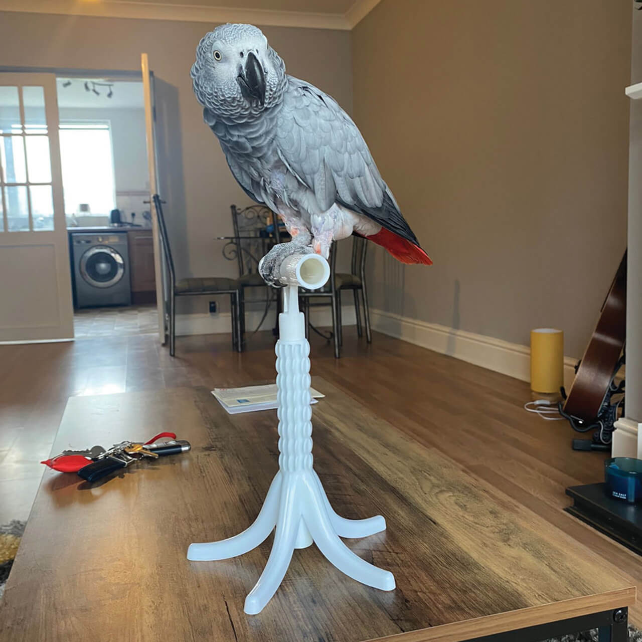 Percher® - Parrot Training Perch - Parrot Essentials