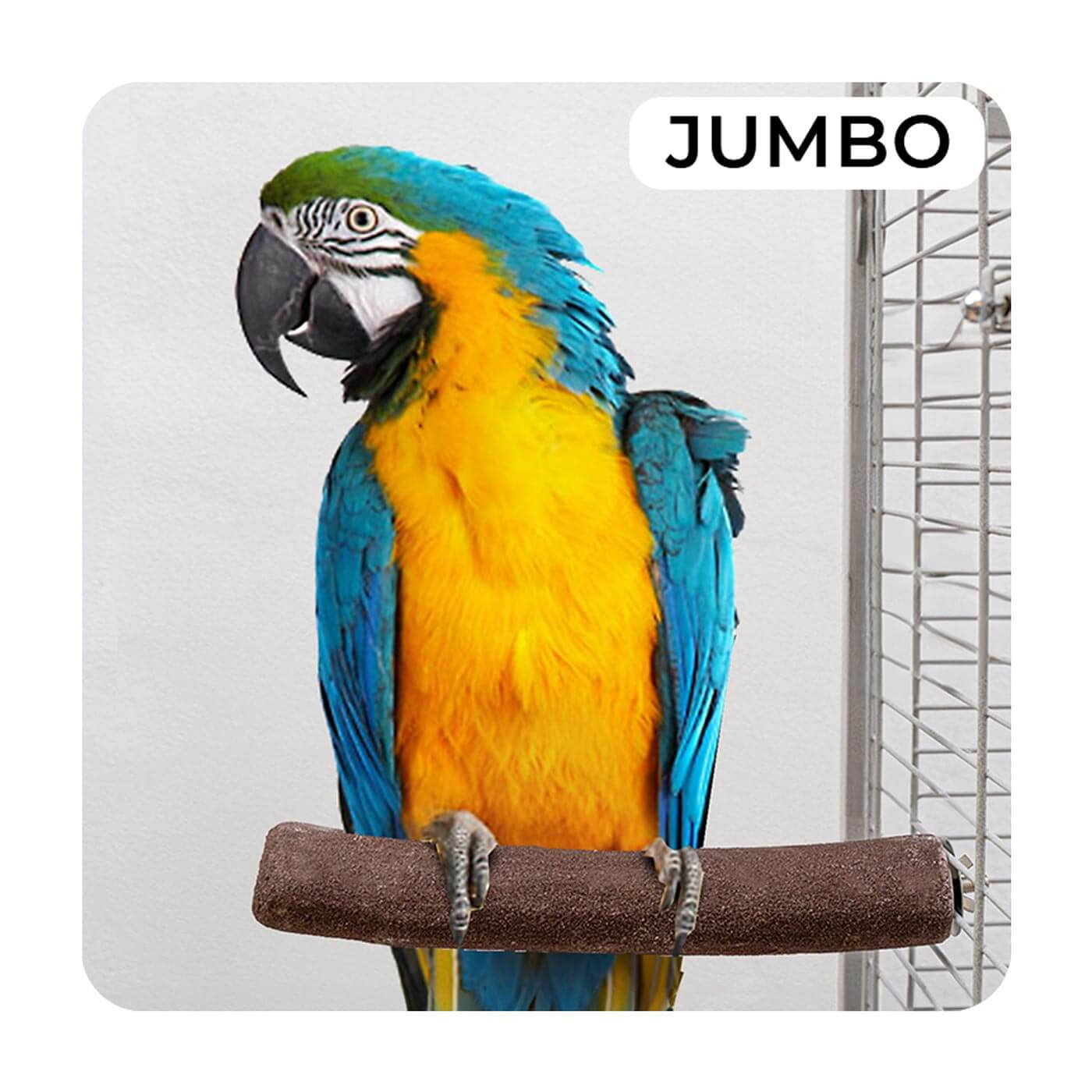 Jumbo Nail Trim Parrot Perch - Parrot Essentials