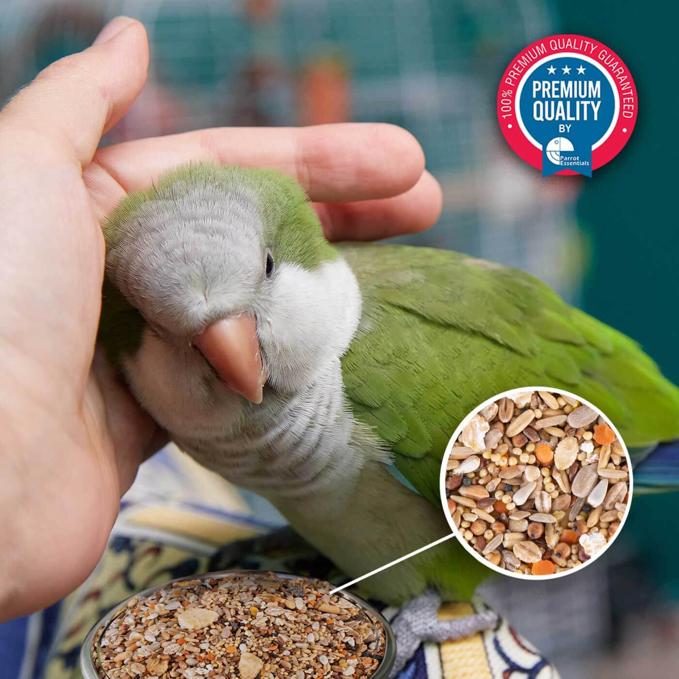 Mixed Seeds Parakeet Food Blend - Parrot Essentials