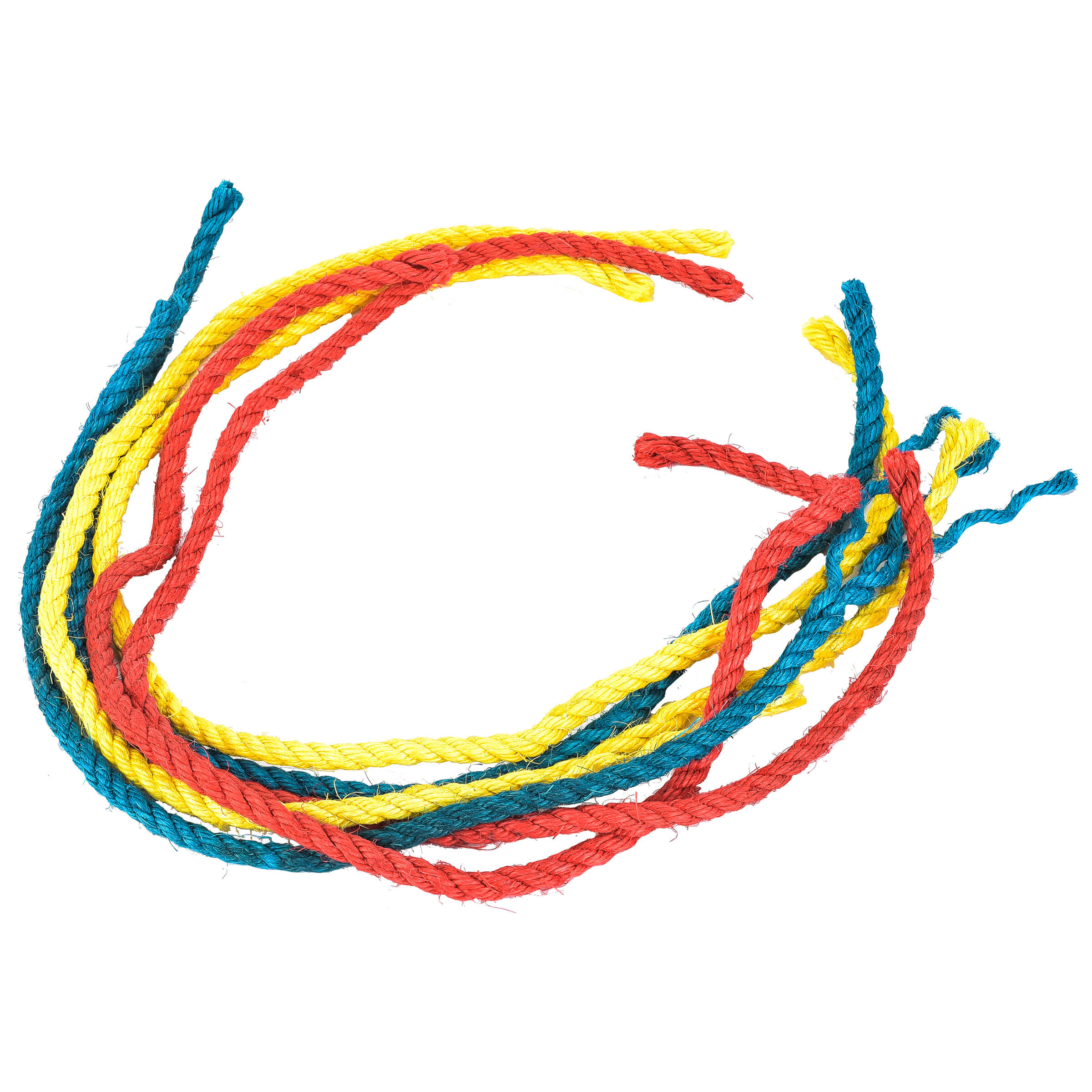 Colourful Ropes DIY Parrot Toy Making Parts - Pack of 6