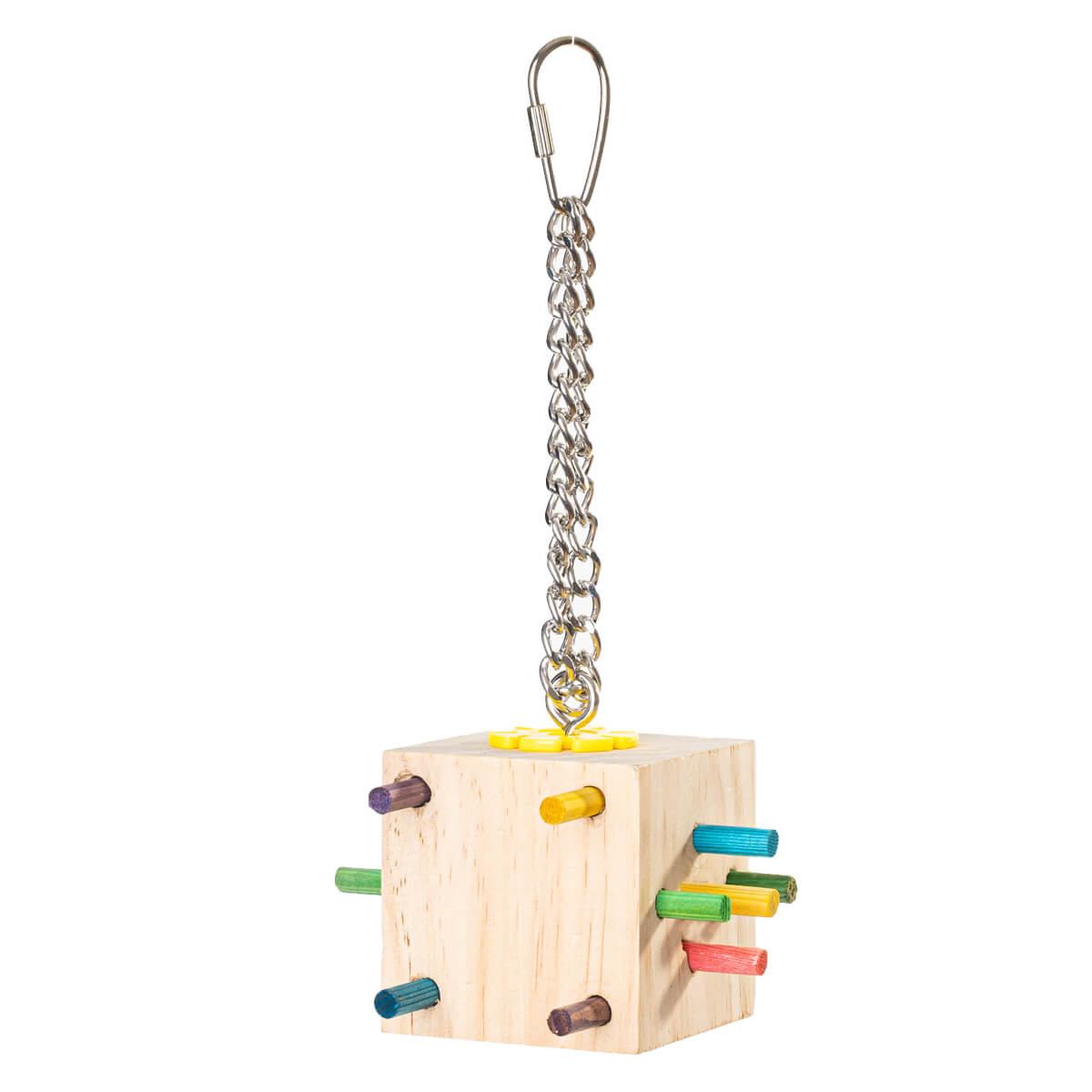 Spoons n Chime Noise Making Interactive Parrot Toy