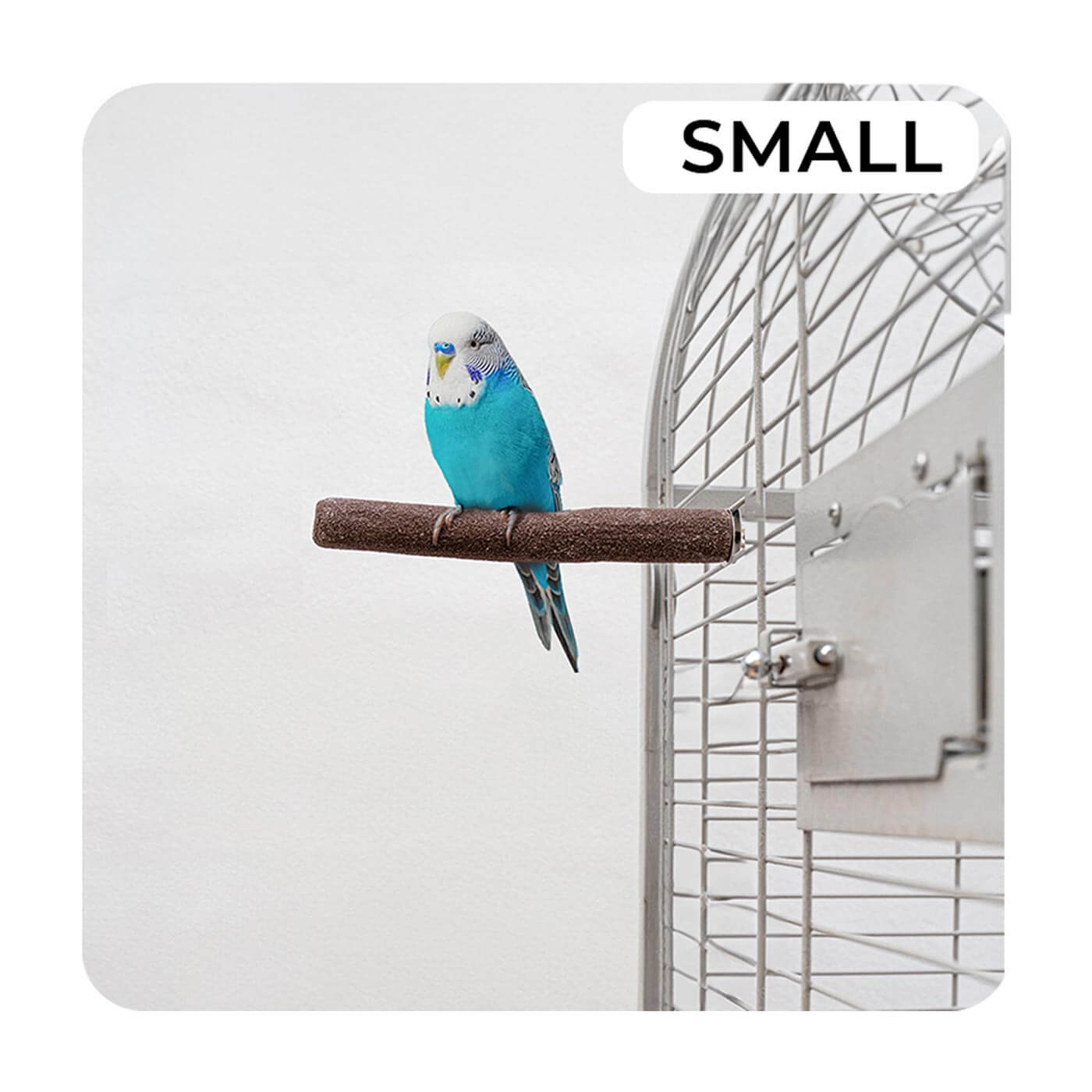 Small Nail Trim Parrot Perch Stand for Bird Cages