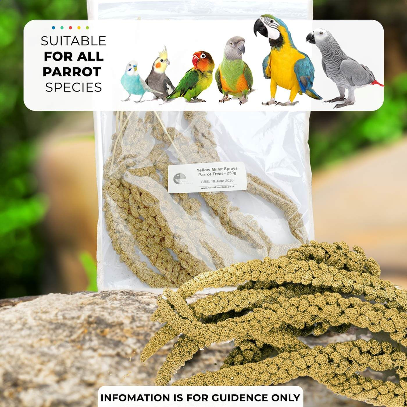 French Yellow Millet Sprays Parrot Treat - Parrot Essentials