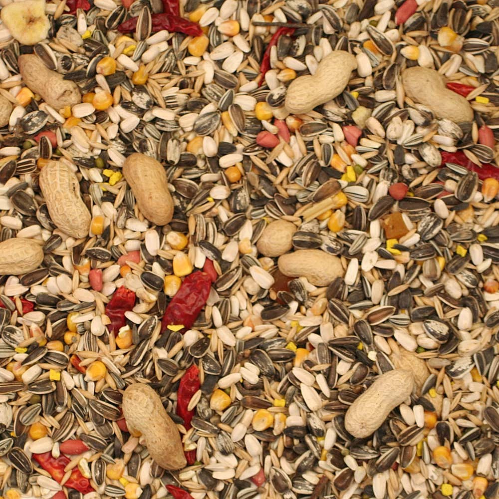 Traditional Parrot Food Mix, 12.75kg | Parrot Essentials