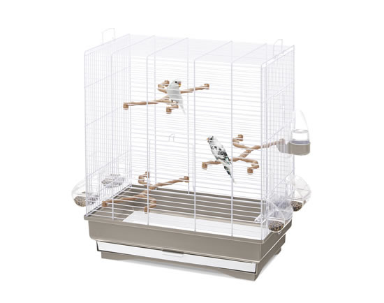 Parrot Shop Online Sale | Parrot Food | Toys | Bird Cages