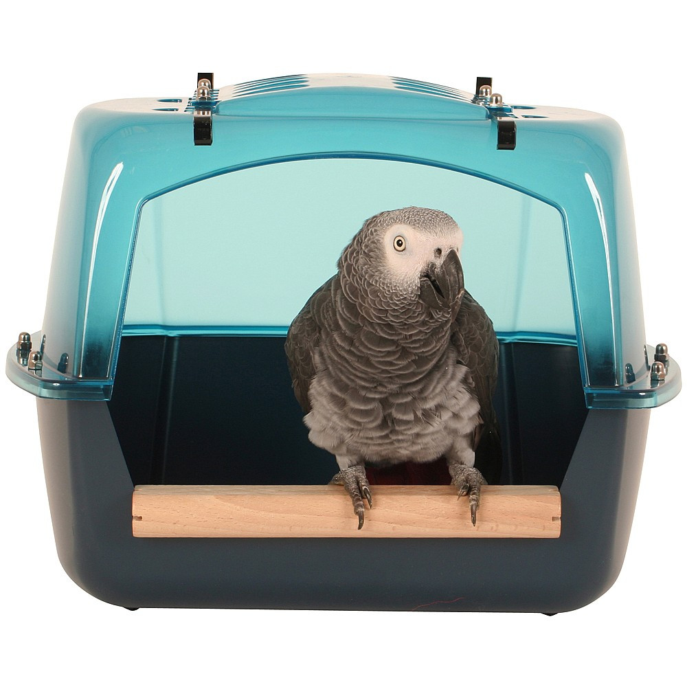Reflective Bird Bath for Parrots - Parrot Essentials