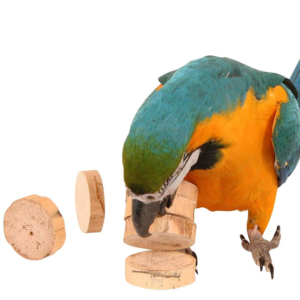 Coloured Wooden Disc Parrot Toy Parts | Parrot Essentials
