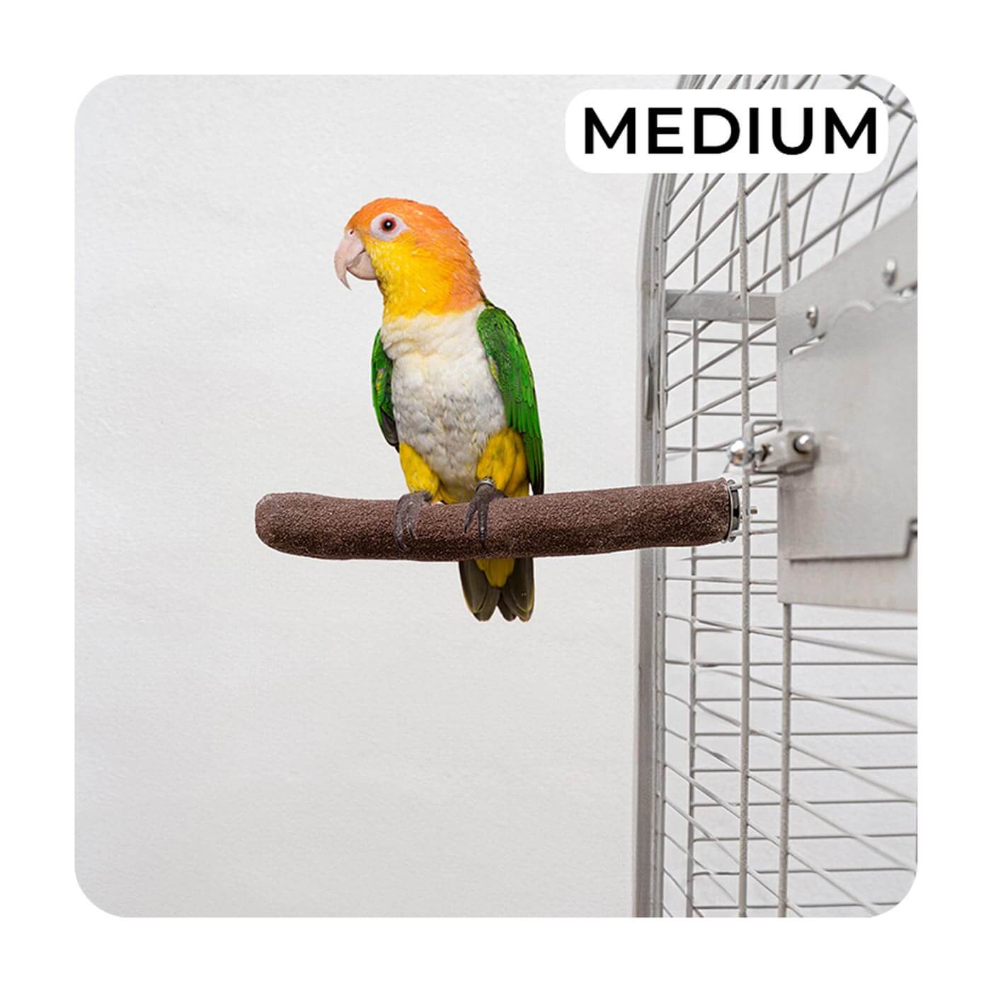 Medium Nail Trim Parrot Perch - Parrot Essentials
