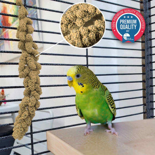 French Yellow Millet Sprays Parrot Treat - Parrot Essentials