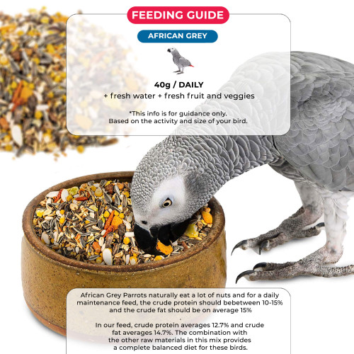 Premium African Grey Parrot Food Seed Mix for Pet Birds 2Kg