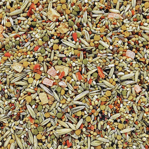 Small Parrot Seed, Fruit & Nut Mix | Parrot Essentials