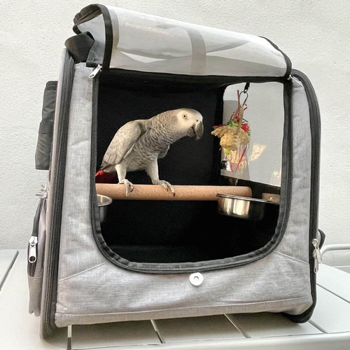 Large Parrot Backpack Carrier & Bird Travel Cage - Large
