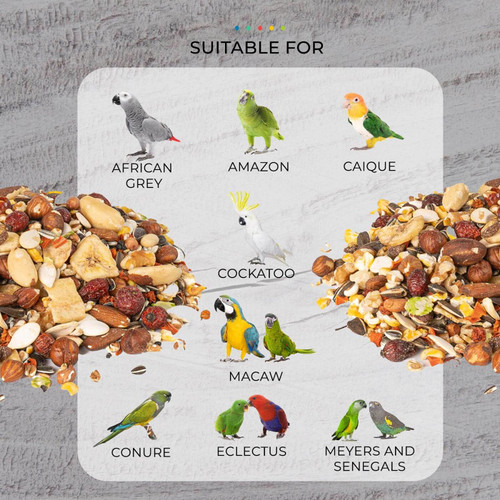 Premium Tropical Parrot Food Seed mix with Fruit and Nuts