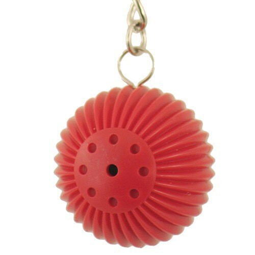 Hanging Ball Talking Parrot Toy | Parrot Essentials