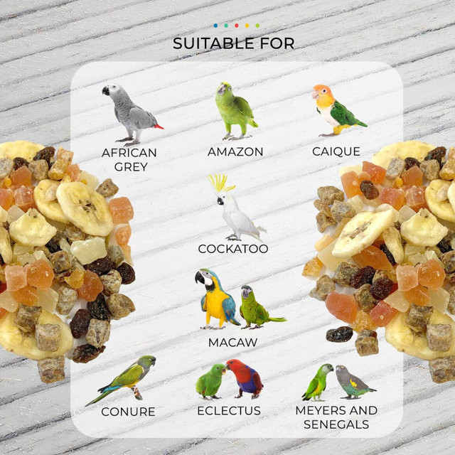 Natural Dried Fruit Parrot Treat - Parrot Essentials