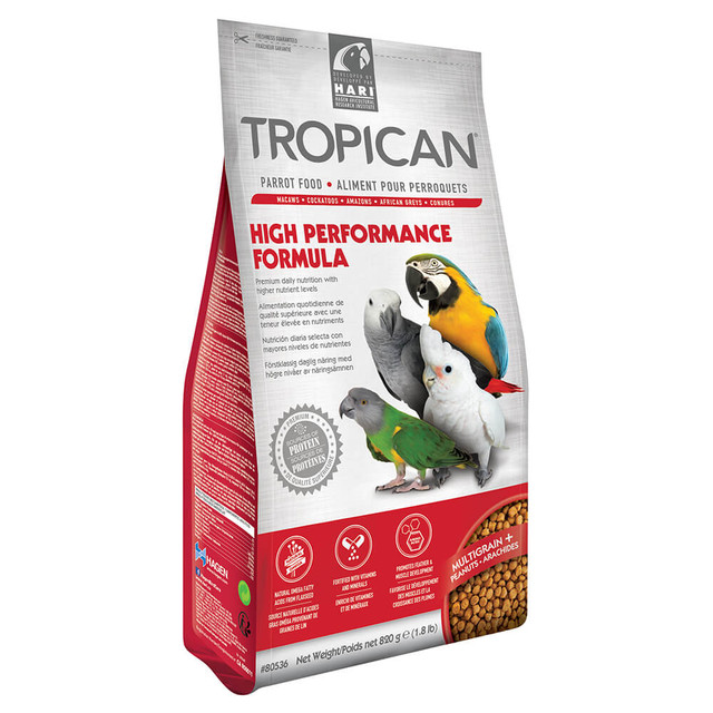 Nutritious Biscuits Parrot Pellets Food - Parrot Essentials