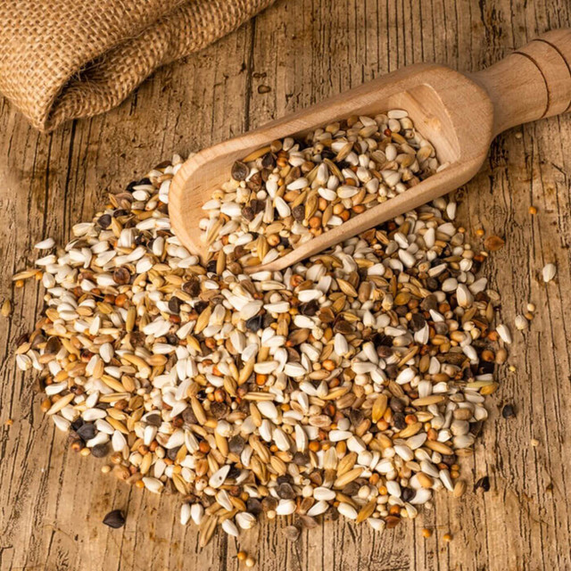 Quick Sprouting Seed Mix Parrot Food - Parrot Essentials