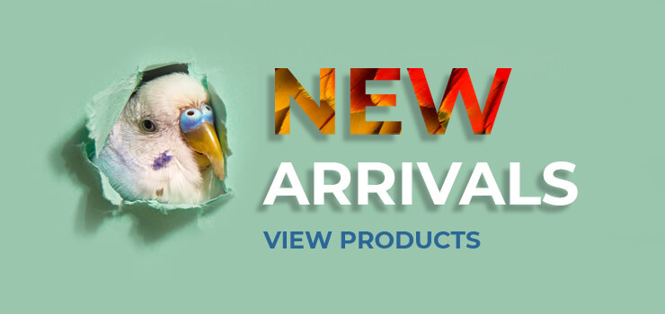 Parrot Essentials - Parrot Shop | Parrot Food | Parrot Toys | Parrot ...