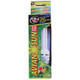 Compact Sunlight Bird Lamp Bulb | Parrot Essentials