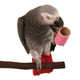 Cylinder Parrot Toy Parts - Pack of 12 - Parrot Essentials