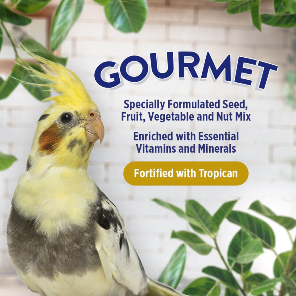Cockatiel Seed, Fruit & Vegetable Mix - Parrot Essentials
