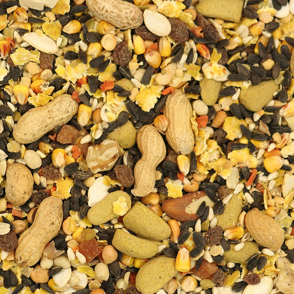 Hagen Gourmet Parrot Food Seed Mix for Large Parrots - 1.8kg