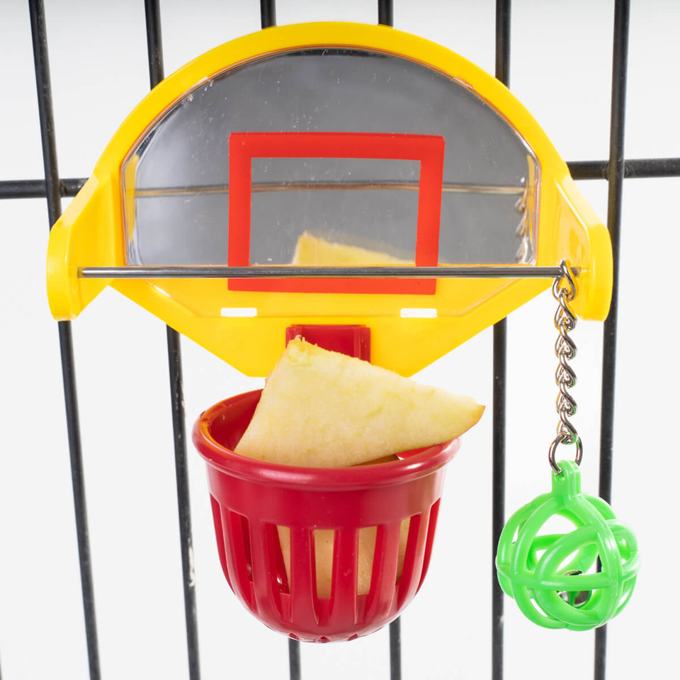 Shooting Hoops Basketball Budgie Toy - Parrot Essentials