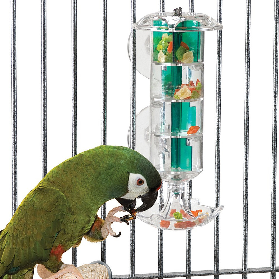 Transparent Parrot Foraging Toy Set | Parrot Essentials