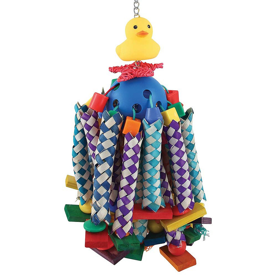 Coloured Wooden Disc Parrot Toy Parts | Parrot Essentials