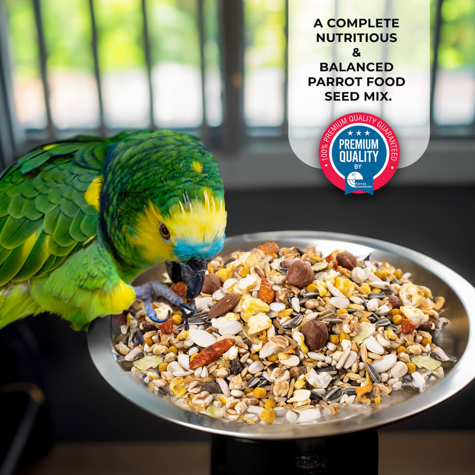 Expert Premium Professional Nutritious Parrot Food Seed Mix