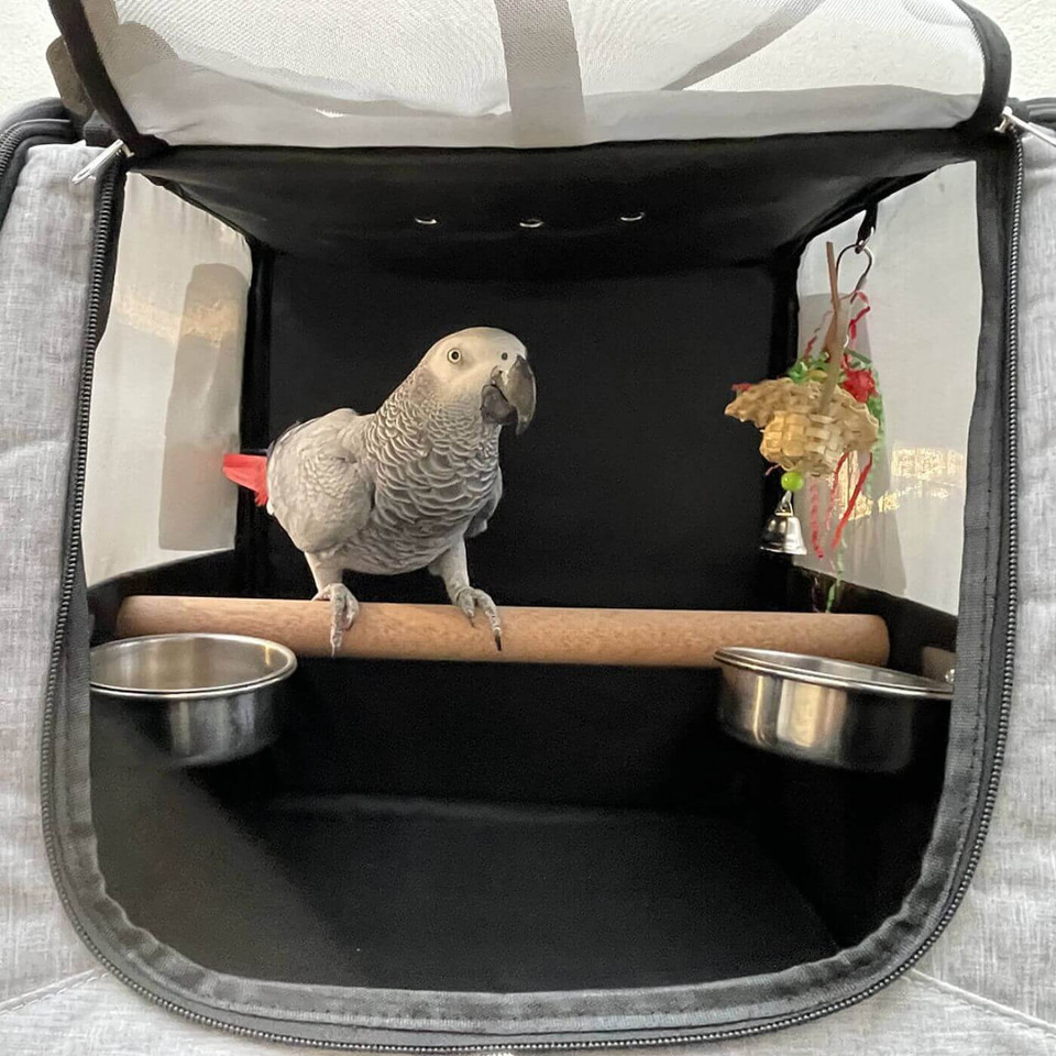Large Parrot Backpack Carrier & Bird Travel Cage - Large
