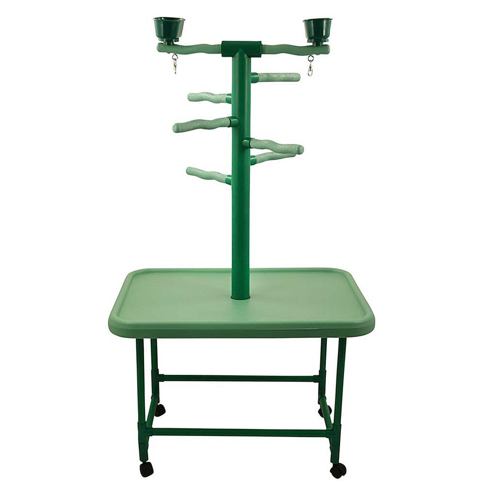 African Grey Stands | Play & Tabletop Parrot Stands