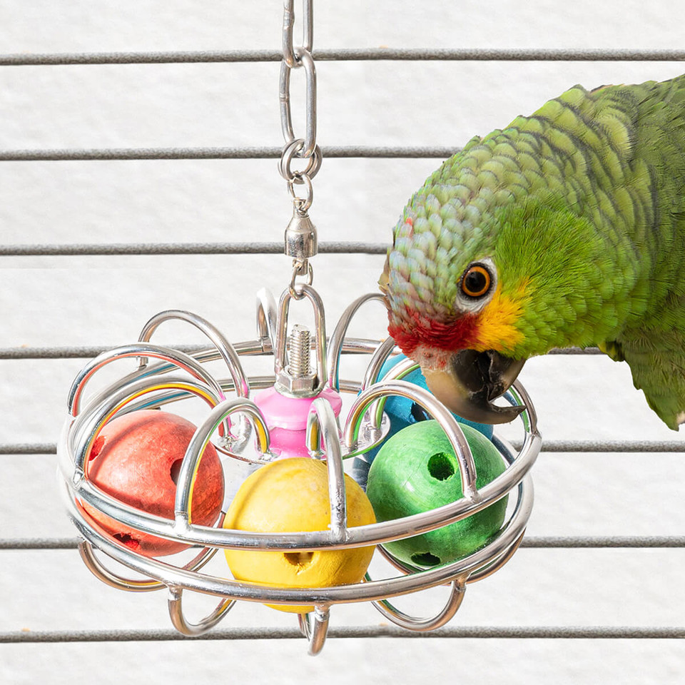 Transparent Tower Foraging Parrot Toy | Parrot Essentials