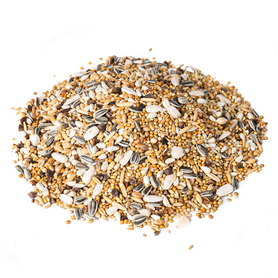 Parrot Essentials Bird Food for Cockatiel & Big Parakeets