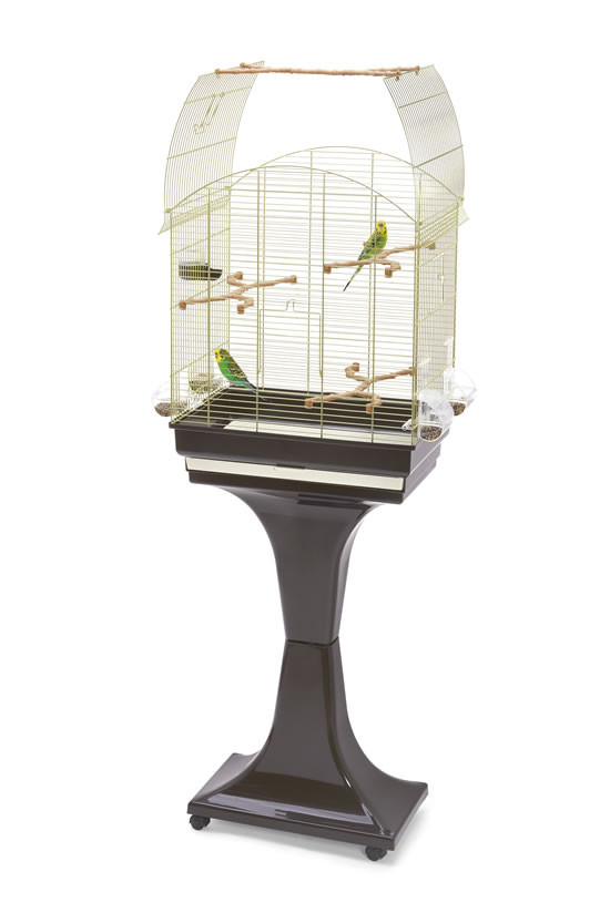 Parrot Essentials - Parrot Shop | Parrot Food | Parrot Toys | Parrot ...