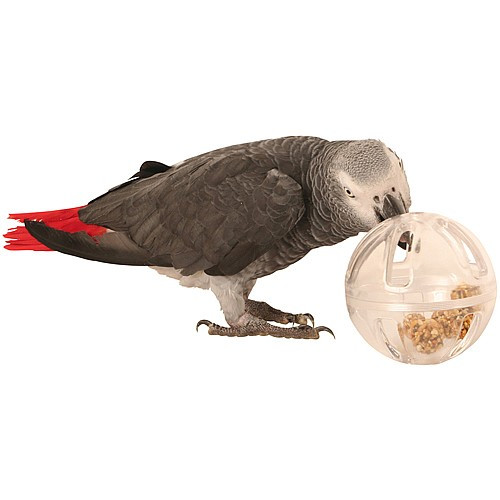 Hanging Ball Talking Parrot Toy | Parrot Essentials