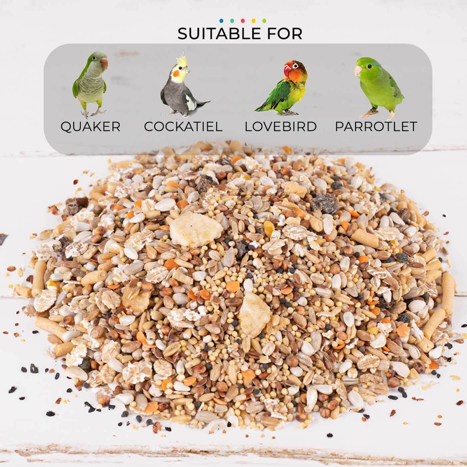 Mixed Seeds Parakeet Food Blend - Parrot Essentials