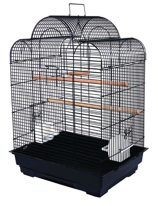 The parrot cage store