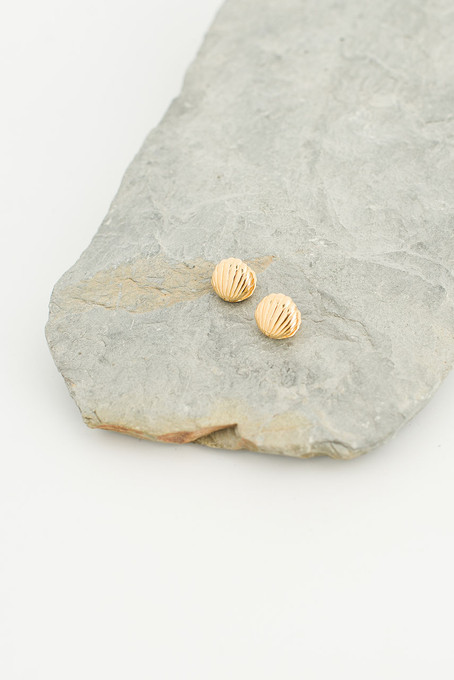 Wren Shell Earrings, 14K Gold Plated