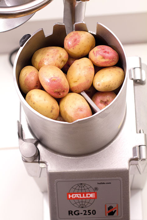 Hallde Vegetable Preparation Machine - RG-250 diwash
