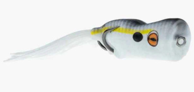 Scum Frog Painted Trophy Series Popper 1/2 Shameless Shad | BOSQUE Outdoors