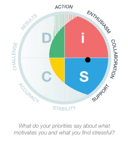 Understanding Your Everything DiSC® Assessment Results - Respect, Inc