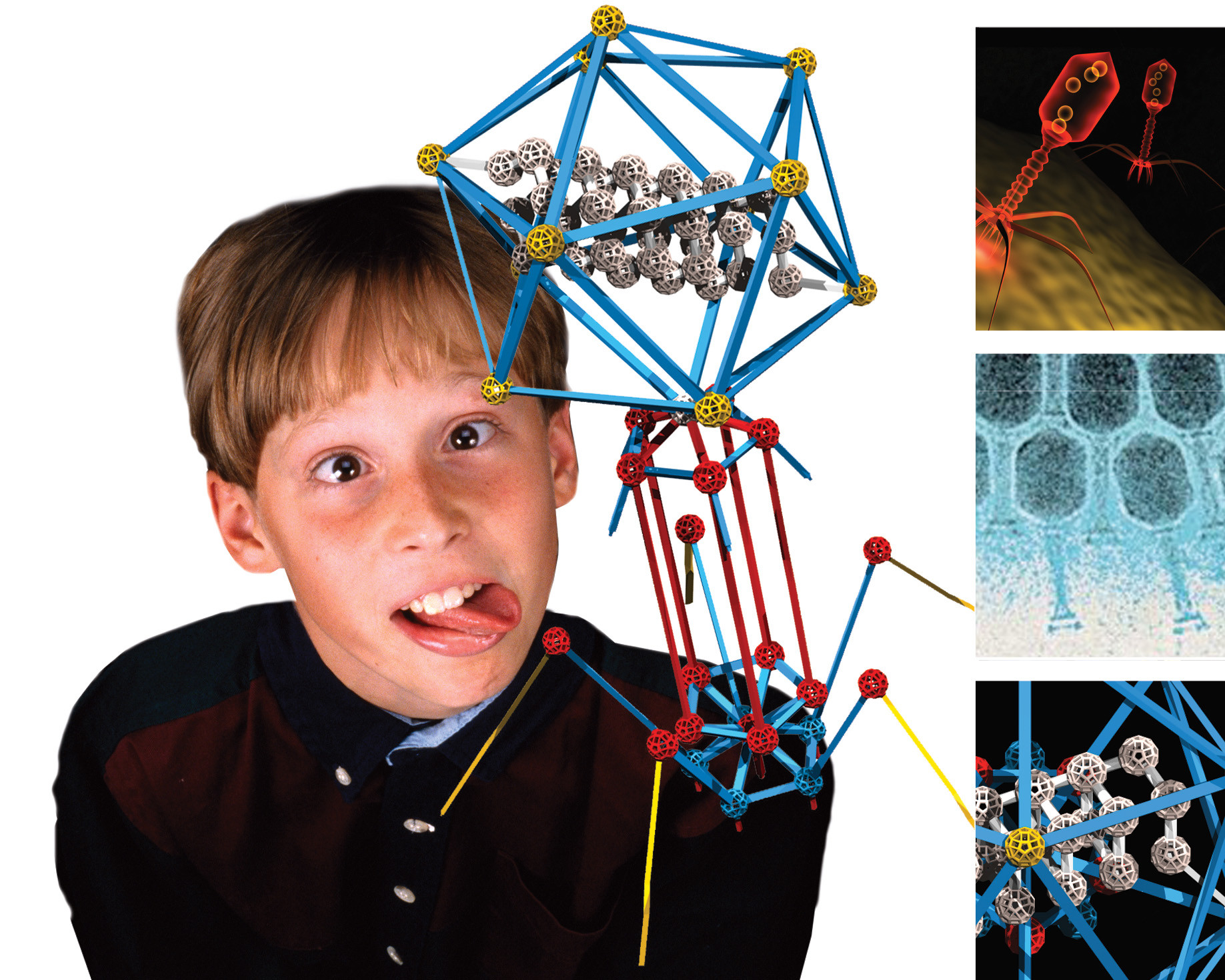 Zometool - The construction set treasured by kids and Nobel Prize winners.