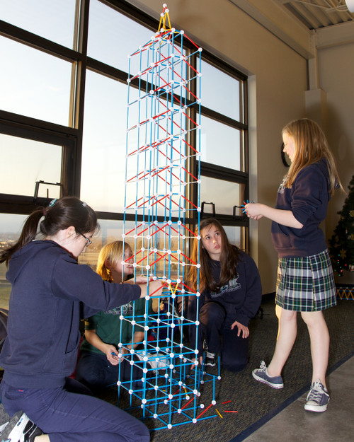 The STEAM kit - Zometool