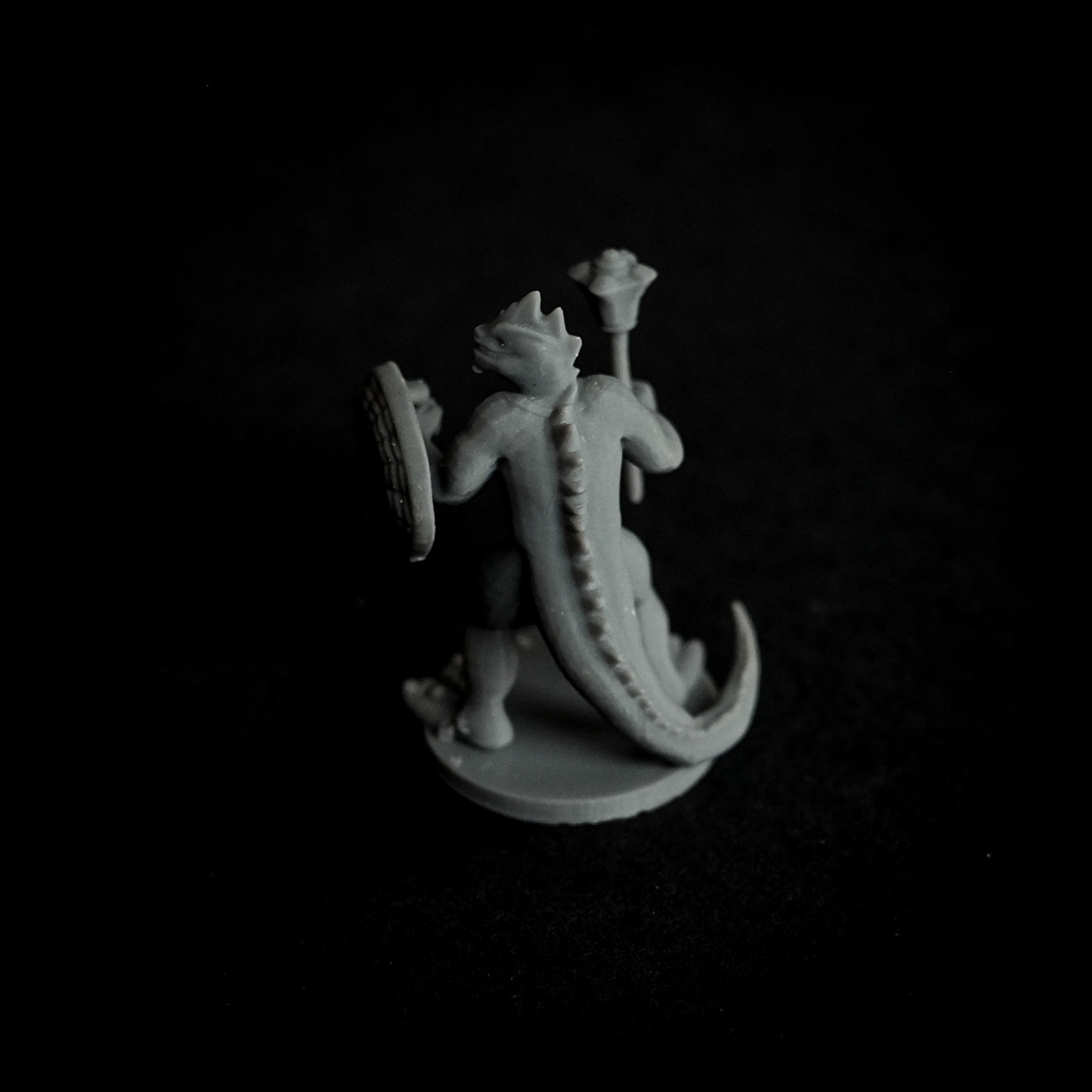 Lizard Folk Cleric with Mace and Shield - The Doyleston Shed