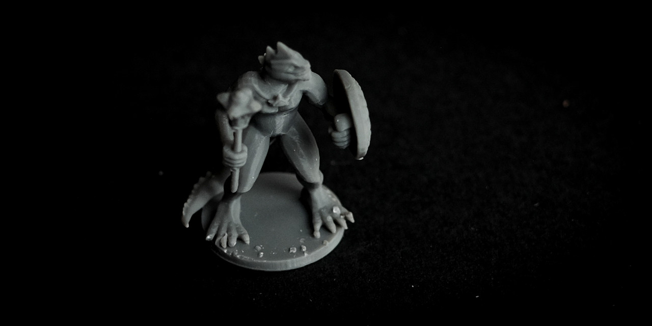 Lizard Folk Cleric with Mace and Shield - The Doyleston Shed