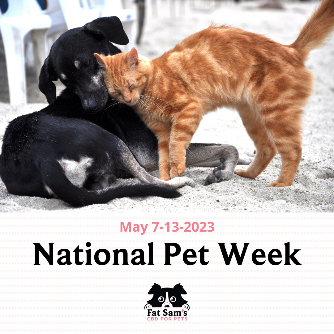 Honoring National Pet Week with CBD and Love - Urban Apothecary